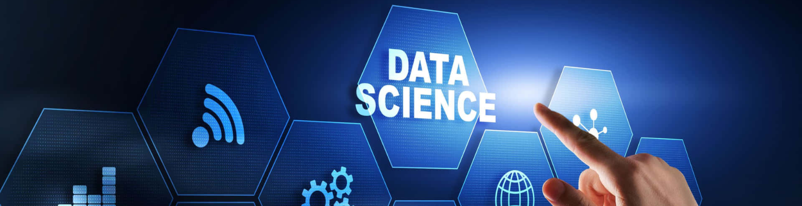 About - Marcello Roy